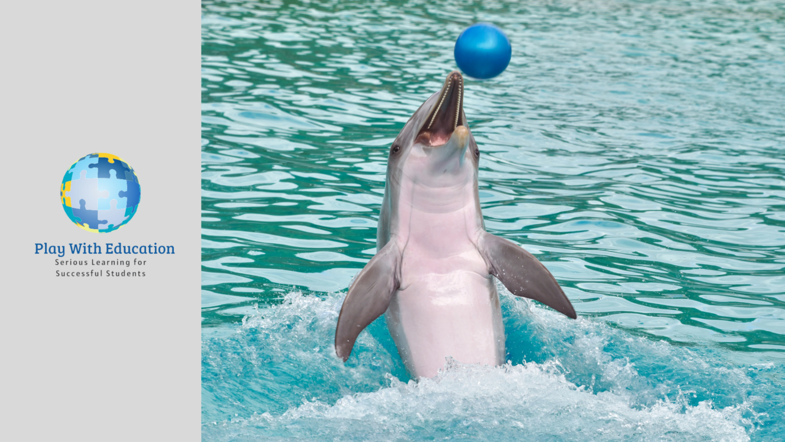 Writing For Special Needs | Play With Education