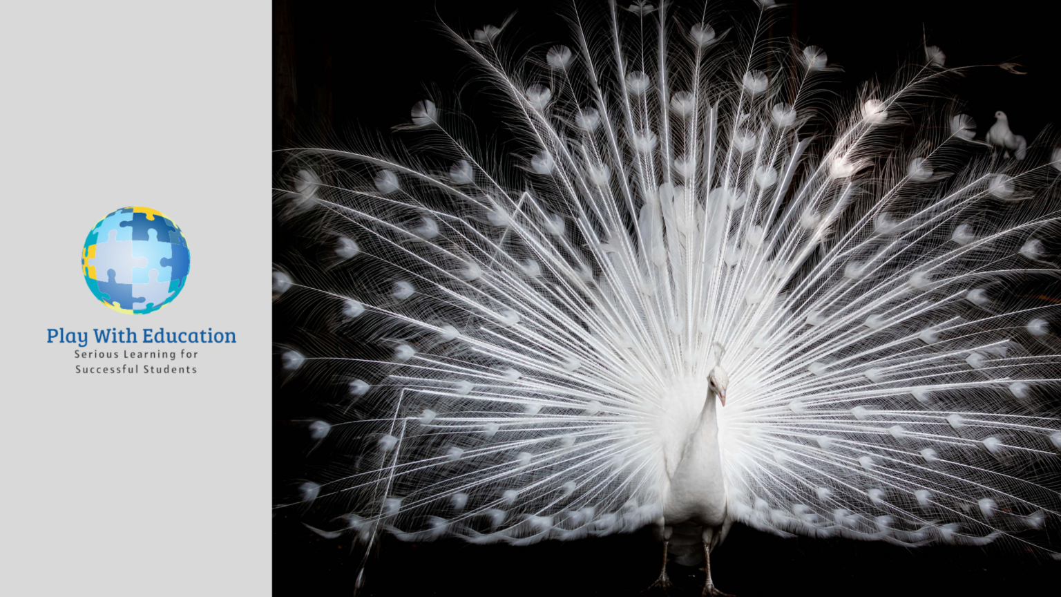 Writing For Special Needs | Play With Education